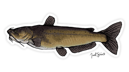 Fish Decals – BruleBay