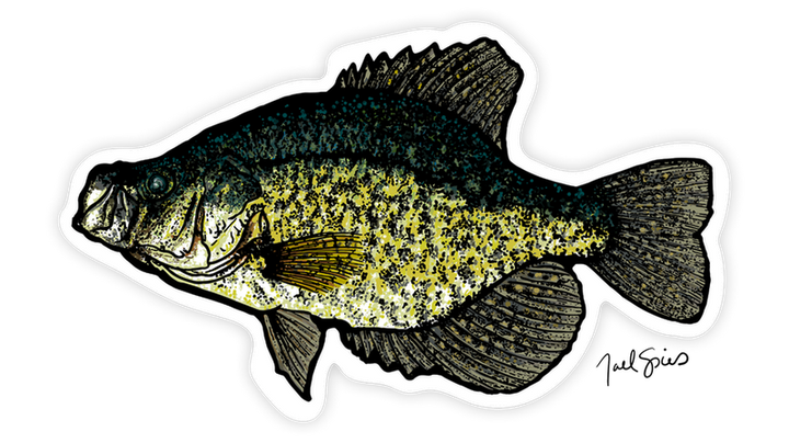 Fish Decals – BruleBay