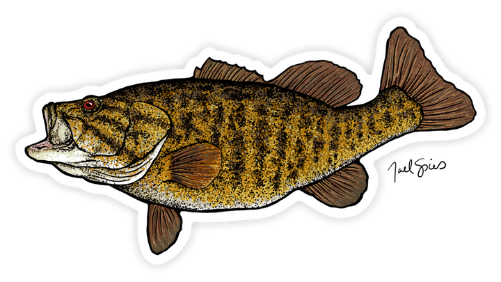 Fish Decals – BruleBay