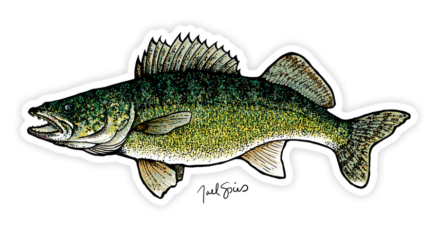 Fish Decals – BruleBay