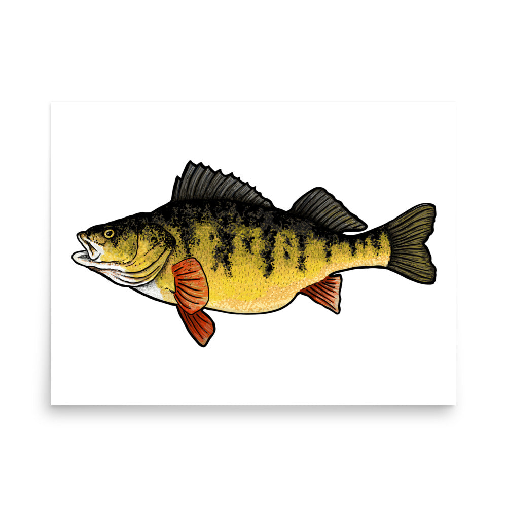 Perch Print – BruleBay