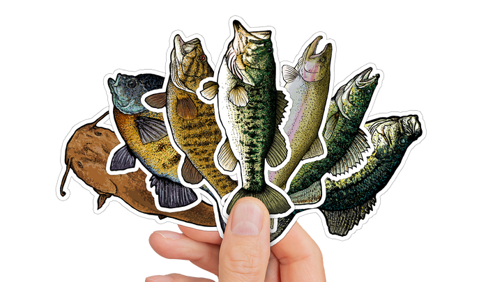 Fish Decals – BruleBay